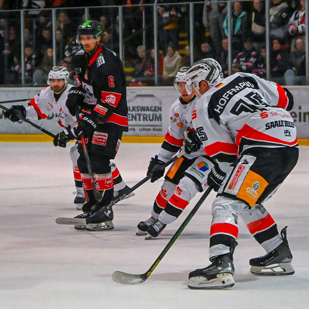 News - Saale Bulls | MEC Halle 04 e.V.