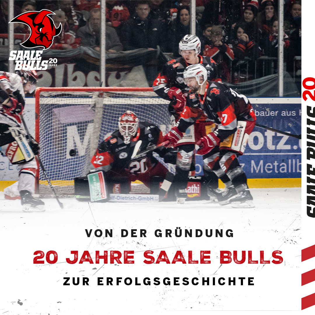 Zwanzig Jahre Saale Bulls: Von der Gründung zur Erfolgsgeschichte ...