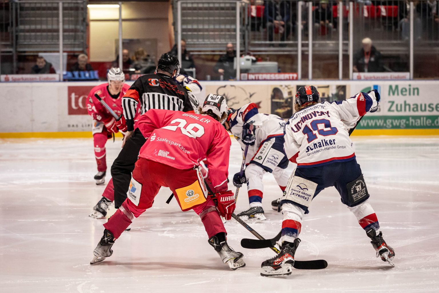 Timo Herden Verstärkt Die Saale Bulls – FCQXB