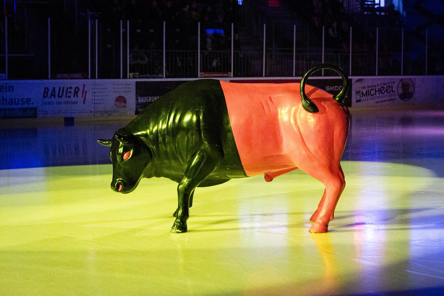 Saale Bulls vs. Hannover Indians - Saale Bulls