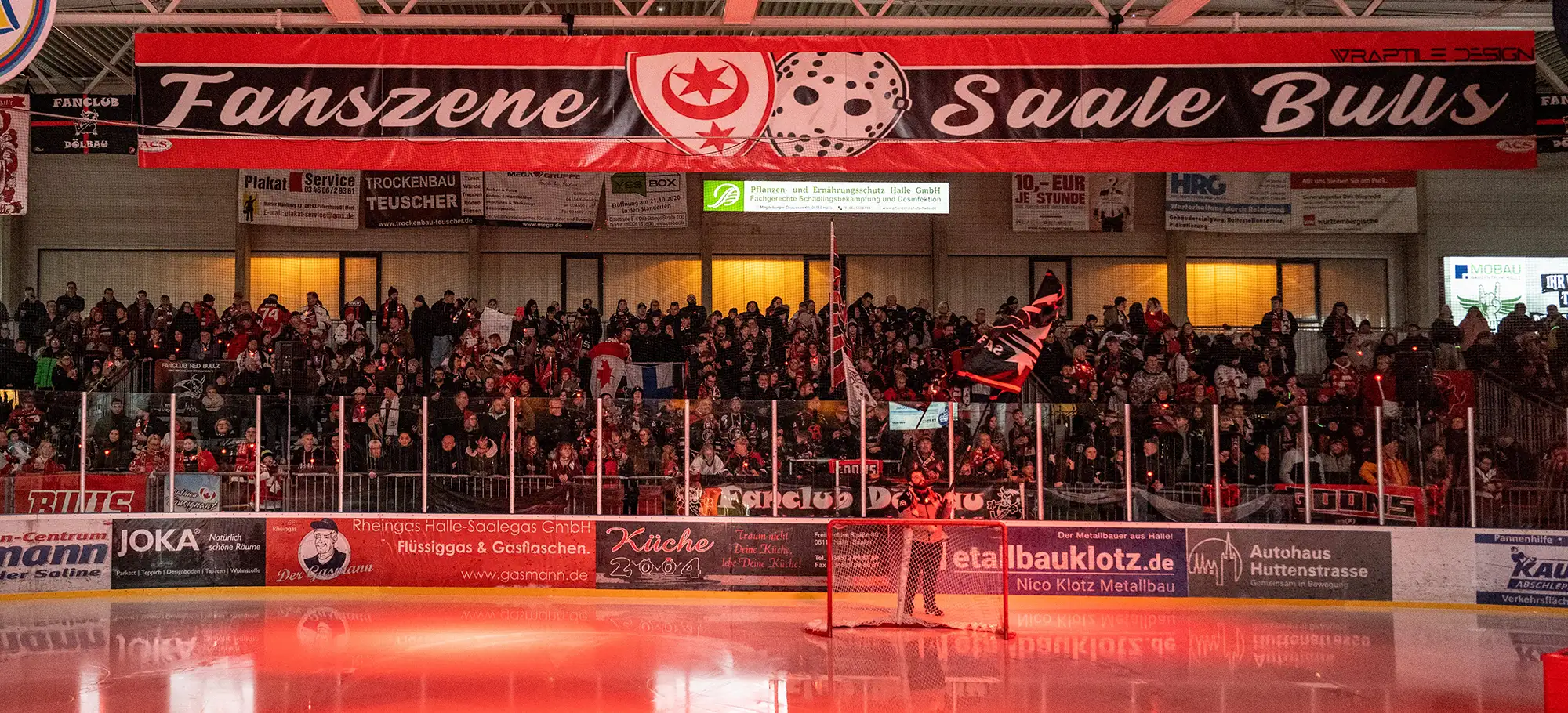 Highlights - Saale Bulls