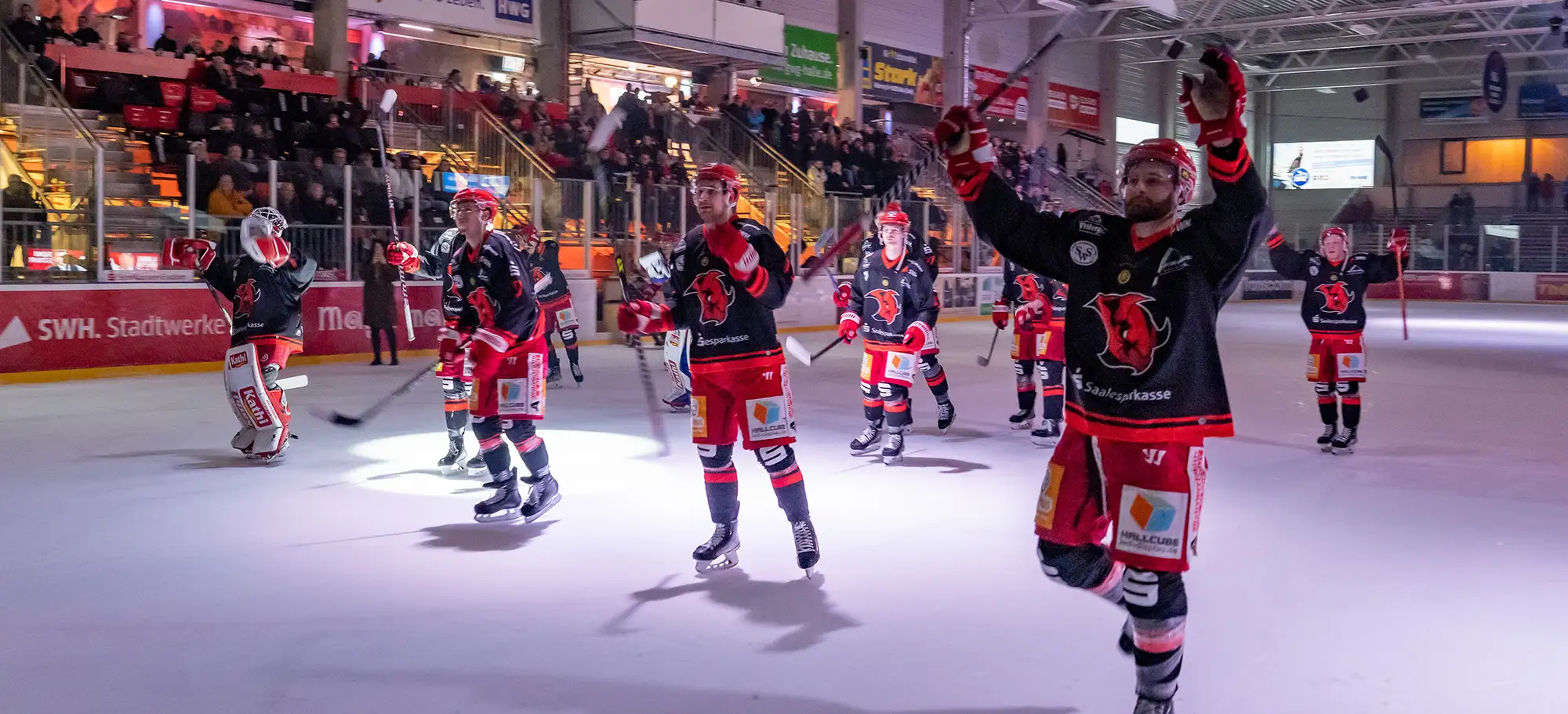 Die Marke Saale Bulls - Saale Bulls | MEC Halle 04 e.V.