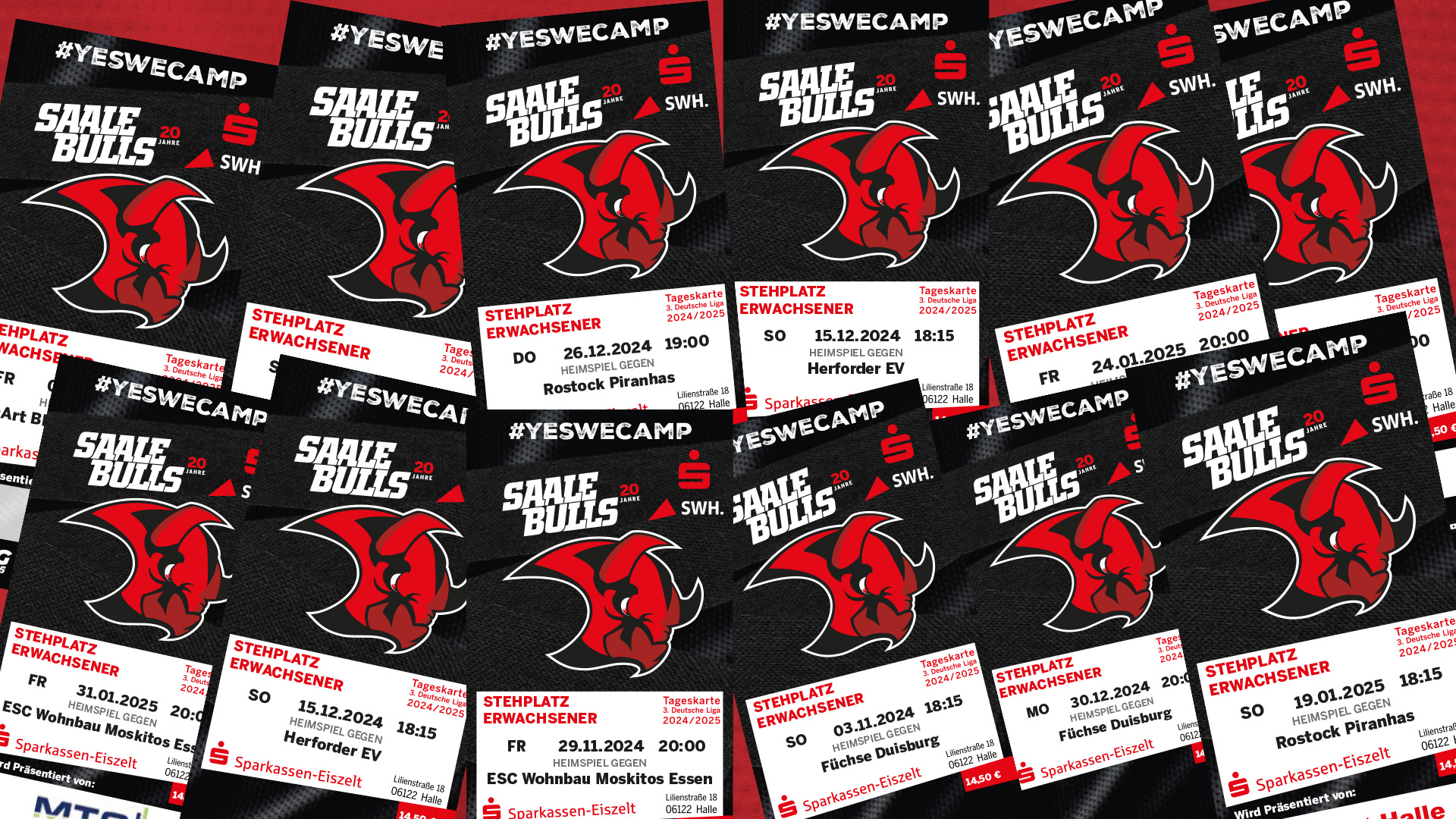 Online-Tickets - Saale Bulls